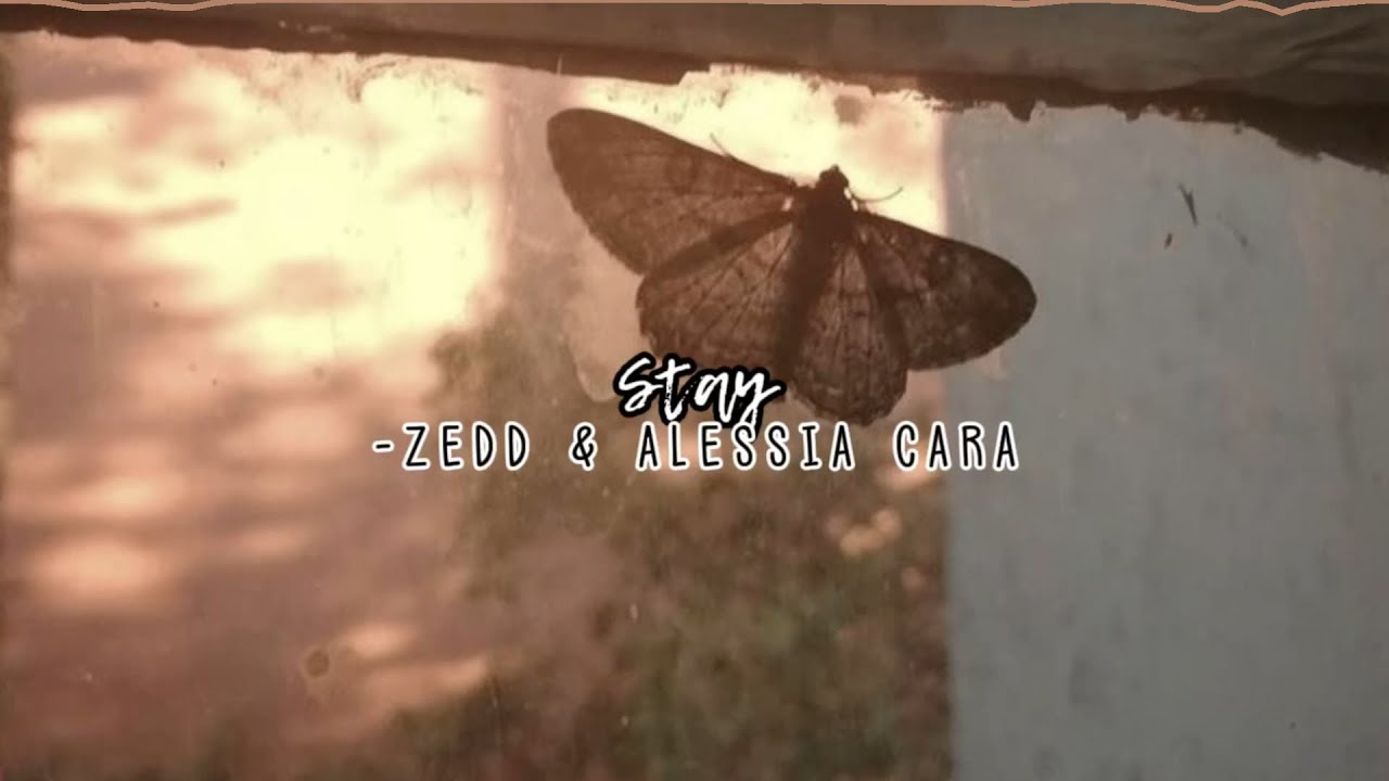 stay-zedd & alessia cara (sped up + reverb) - YouTube