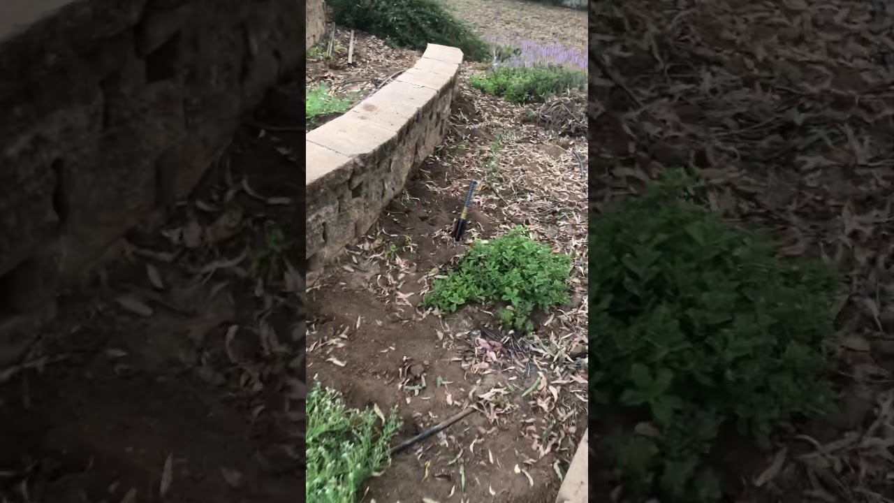 Gopher Control - using the Gopher Hawk: - YouTube