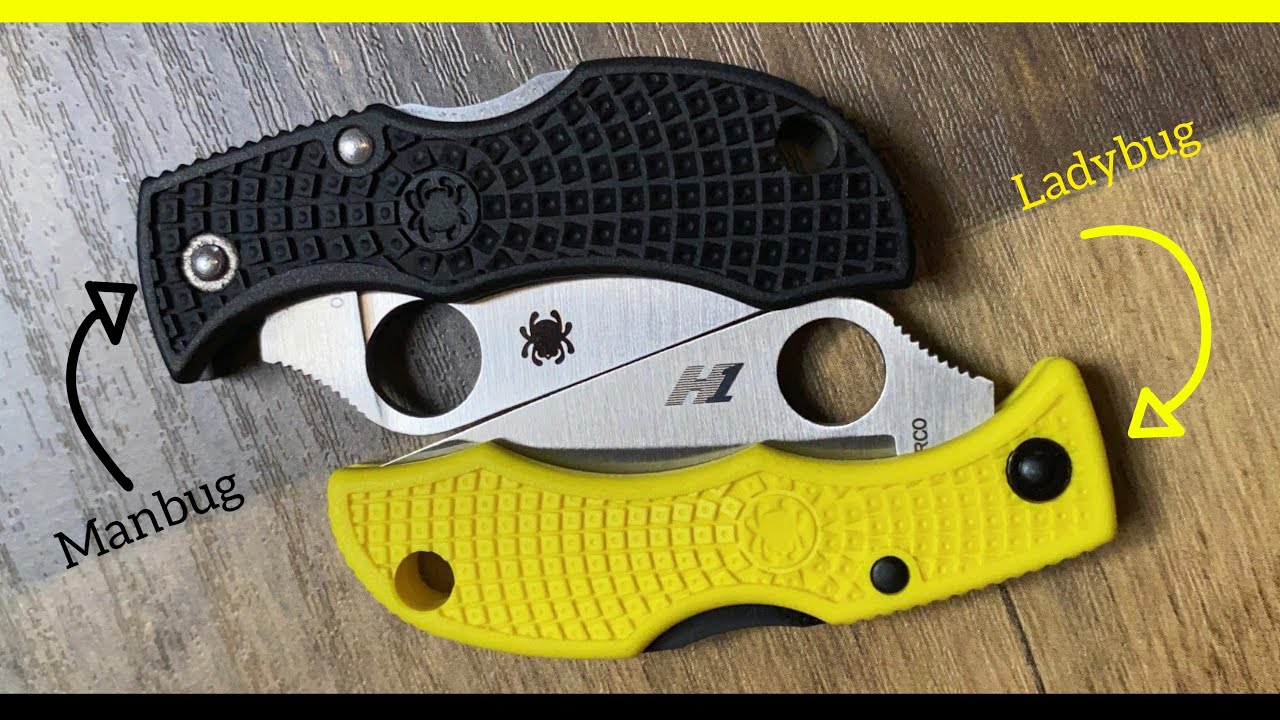 Spyderco Ladybug VS Spyderco Manbug - YouTube
