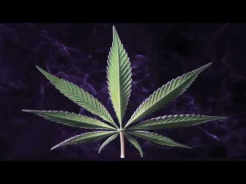 *_AZƏRİ BAŞA MUSİC_*(ÇEKME NESE ZİYANDİ ZİYANDİ)