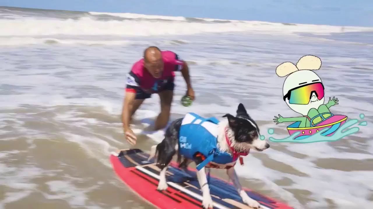 Cartoon Network Argentina + Eukanuba - RTM: PROMO | Playa CN | Verano ...