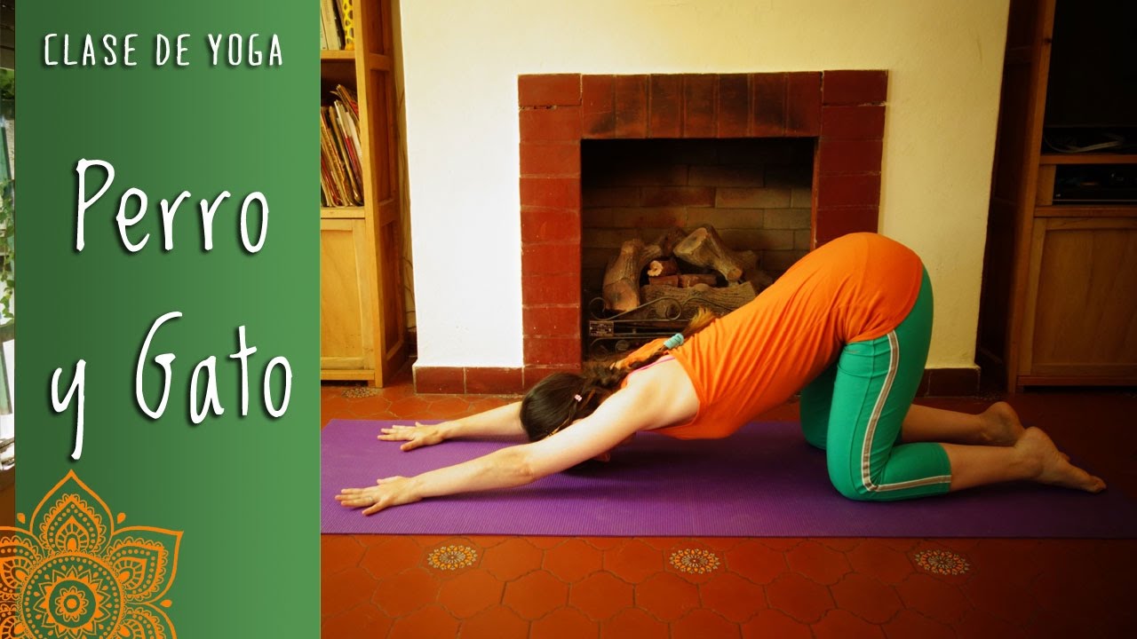 Clase de Yoga, El Perro y el Gato -PuntodeYoga- Nivel Principiante ...