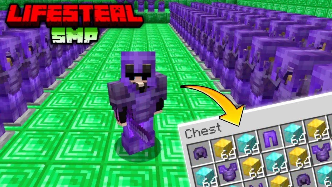 I Became Strongest Player on this Deadliest LIFESTEAL SMP in 12 Hours ...