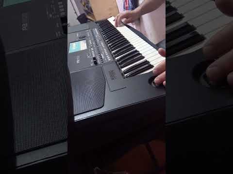Korg pa 600                             Həyati reqsi-2023