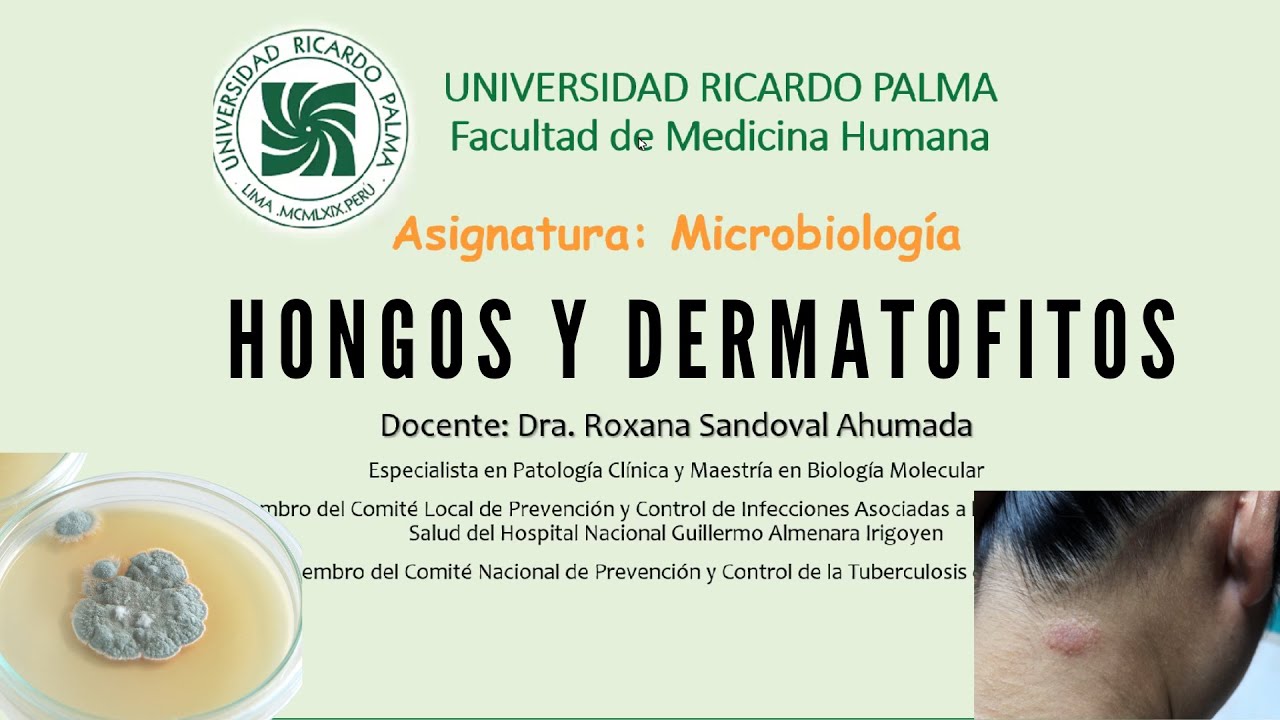 Microbiología - Hongos y Dermatofitos - Unidad3 - sem14 URP - YouTube