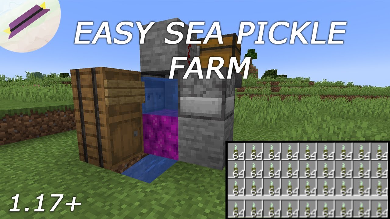 Easy Sea Pickle Farm - 1.17+ - Minecraft - (Java Edition) - YouTube