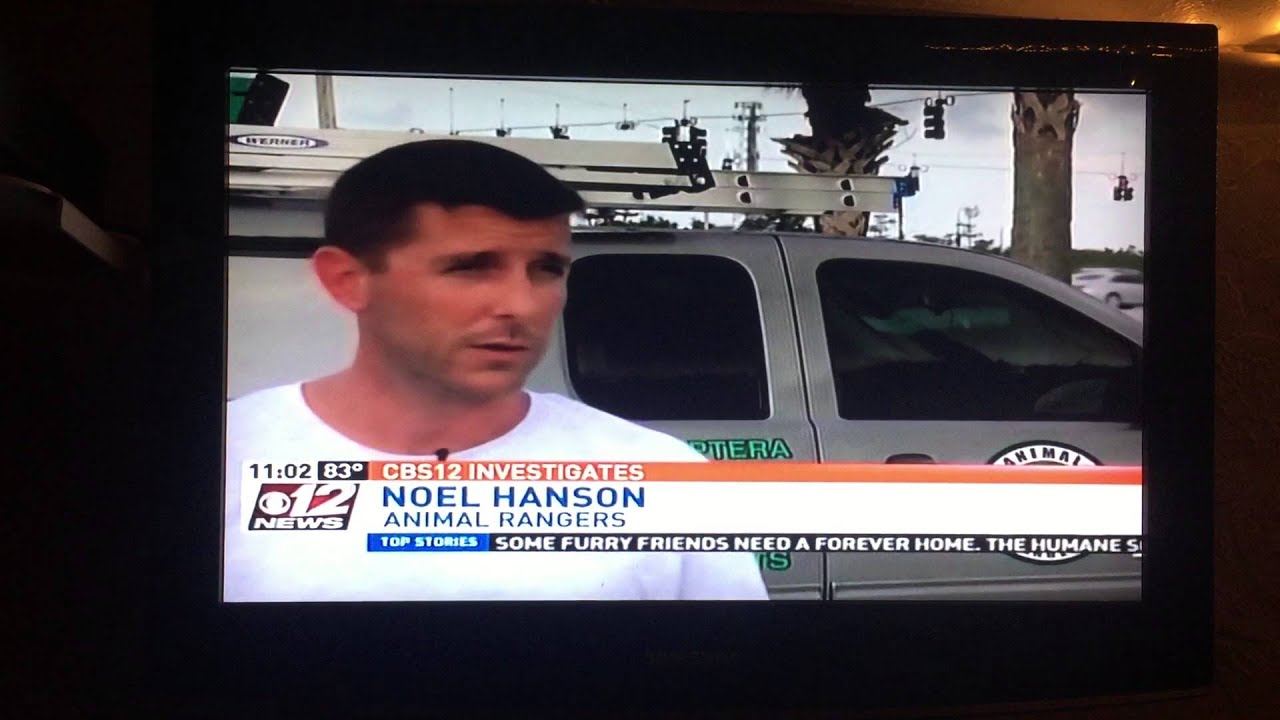 WPEC 12 news 6/11 11p news - YouTube