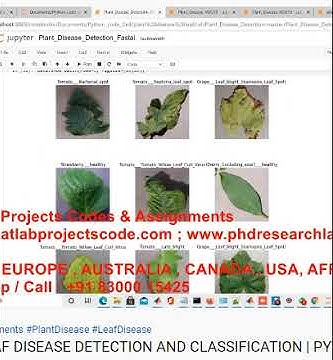PLANT LEAF DISEASE DETECTION AND CLASSIFICATION - PYTHON CODE - YouTube