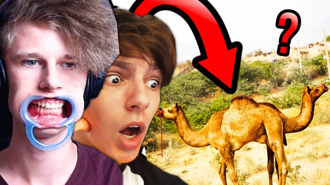 POZNÁME PHOTOSHOP? (Real or Fake) w/MaTTem - YouTube