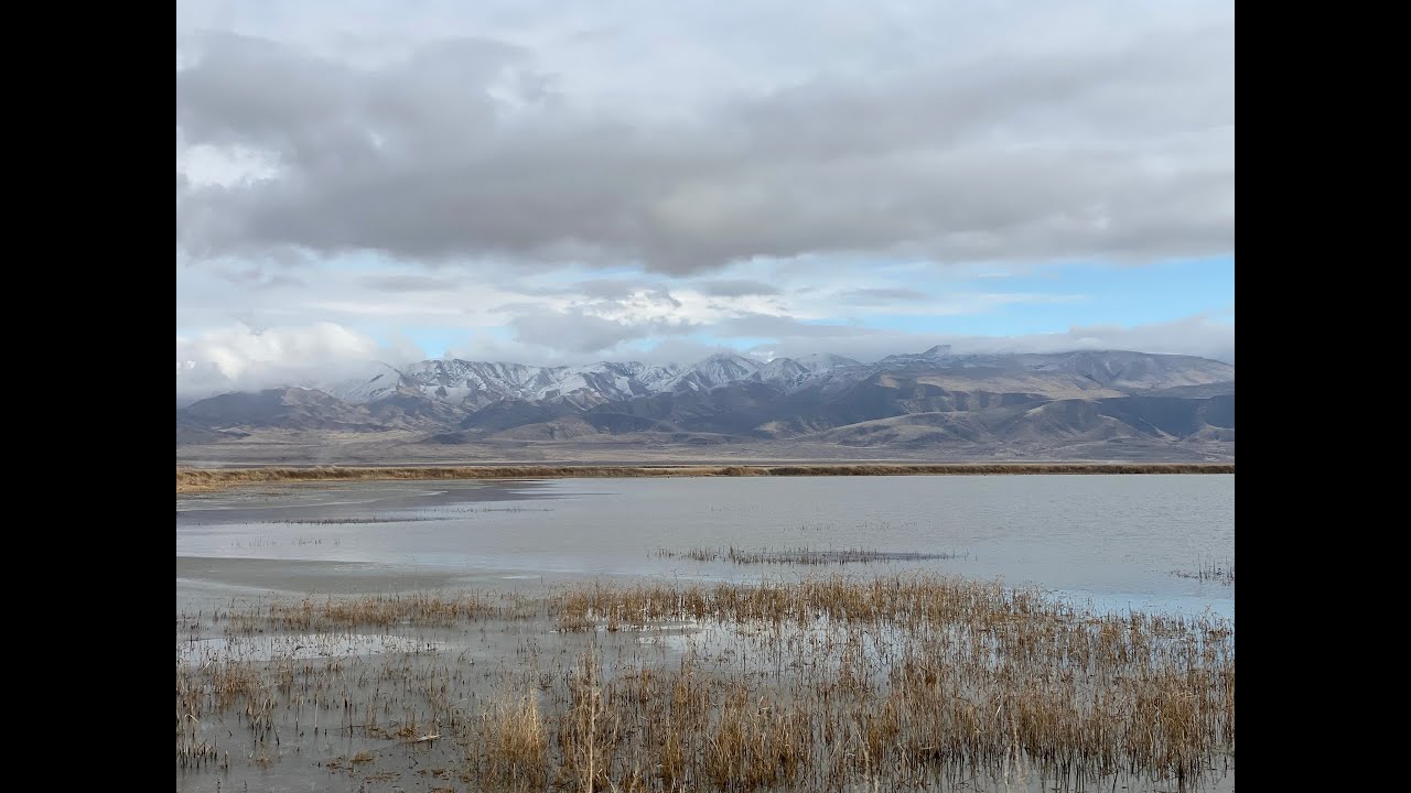 01-25-2025 Closing Saturday Nevada Duck Hunt (better quality) - YouTube
