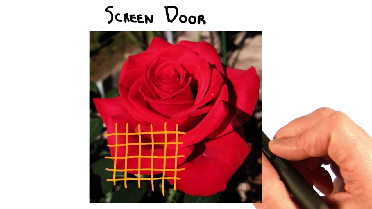 Screen Door - Interactive 3D Graphics - YouTube