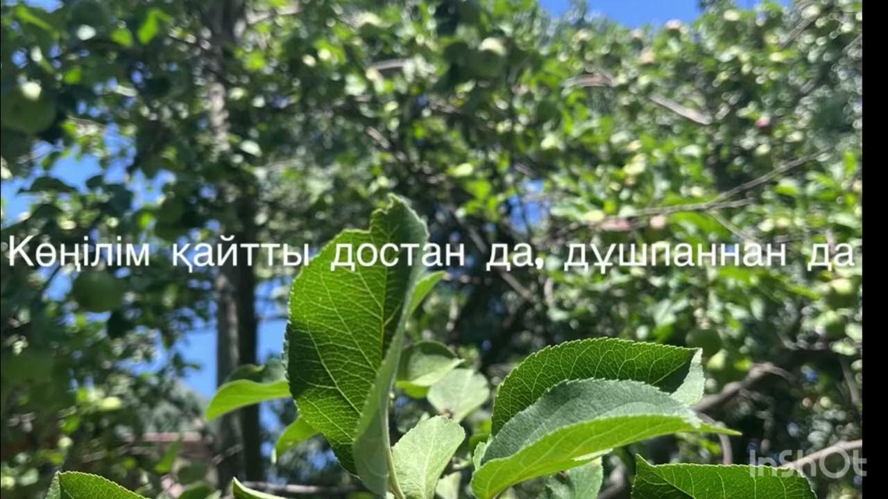 А Құнанбайұлы “Көңілім қайтты достан да дұшпаннан да” Youtube