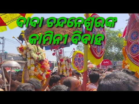 Marriage ceremony of Baba Chandaneswar || Chadak Mela || ବାବା ...