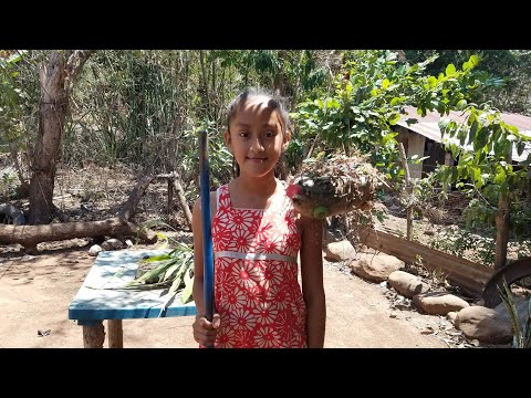 DIA DE LIMPIEZA (Creando Un Mini Parque)