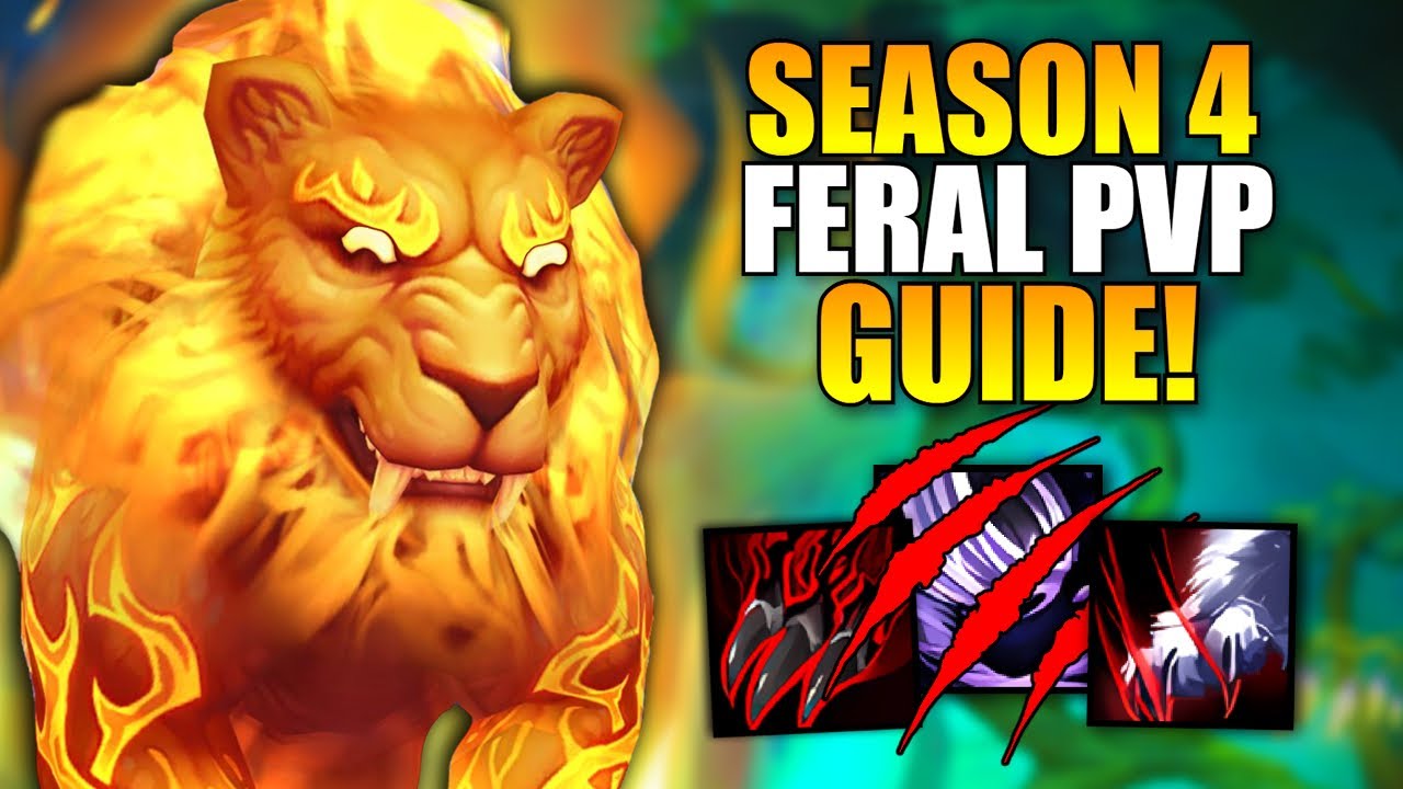 SEASON 4 FERAL DRUID PVP GUIDE | Talents, Rotation, Stats and MORE! - YouTube