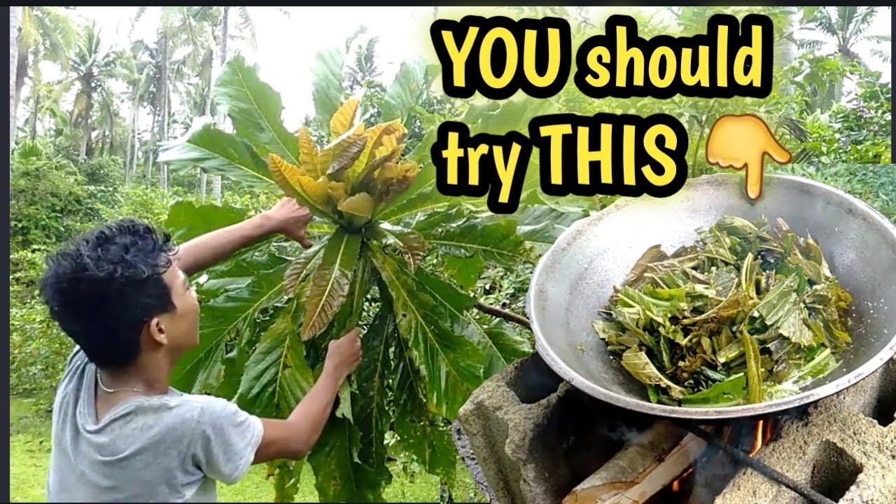LUBI - LUBI LEAF WITH COCONUT MILK AND SARDINES - YouTube
