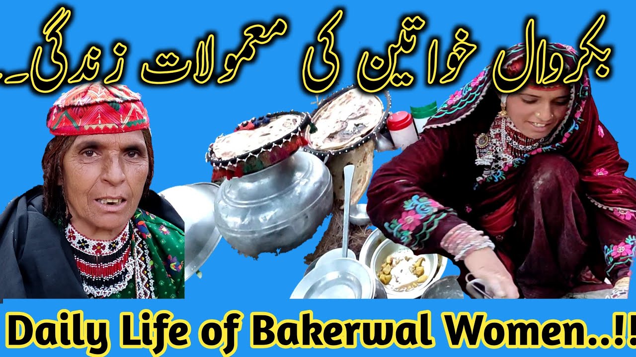 Lifestyle Nomadic family||Routine life of the Bakarwal family|Bakerwal ...