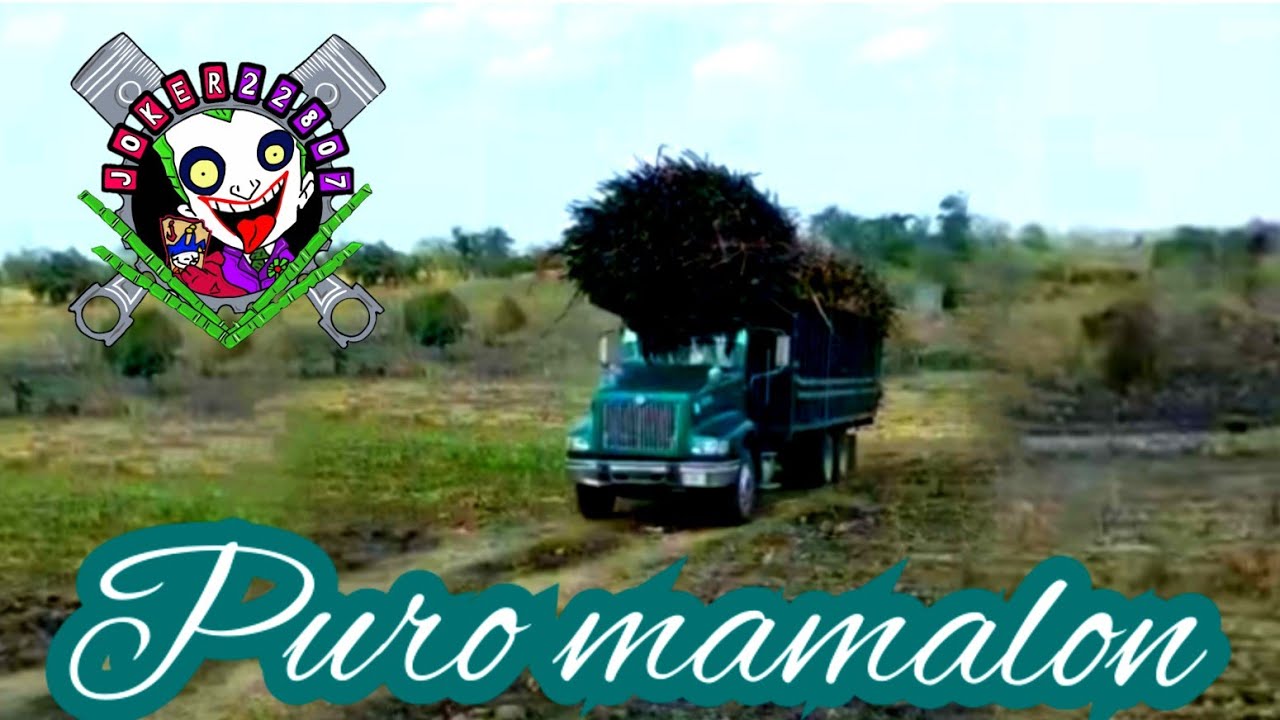 Portables mamalones MX - YouTube