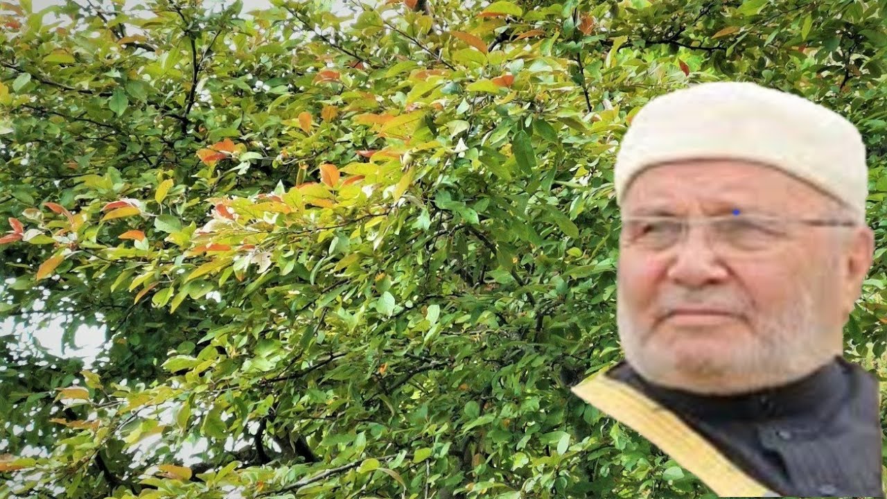 𝐓𝐡𝐞 𝐊𝐢𝐧𝐠. By Sheikh Mohammed Ratib Al-Nabulsi.. - YouTube