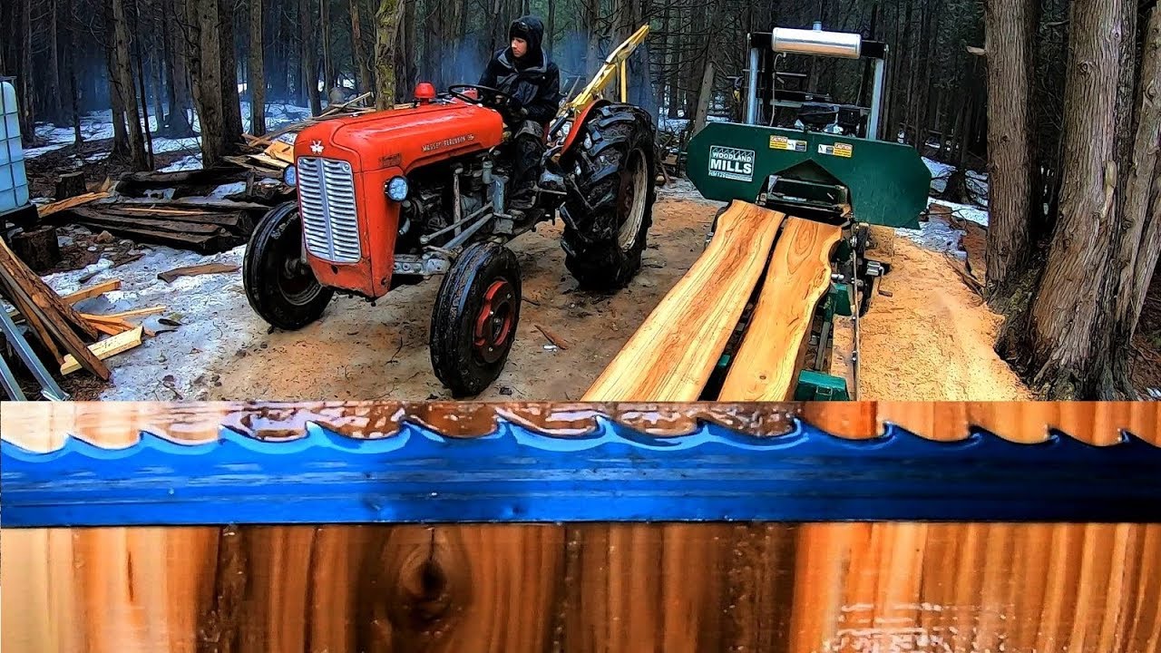 Beautiful Wood Grain from a Diseased Elm Tree- Ep46- Outsider Log Cabin ...