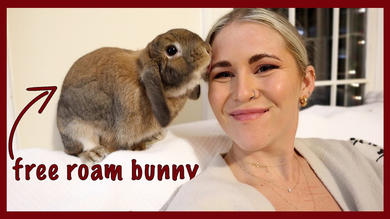 What Life with a Rabbit is REALLY Like - YouTube