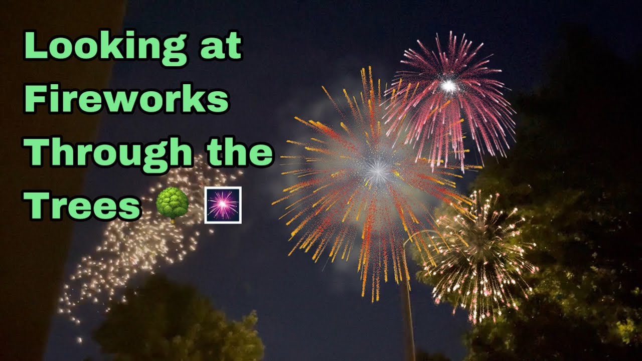 Fireworks Above the Treetops - YouTube