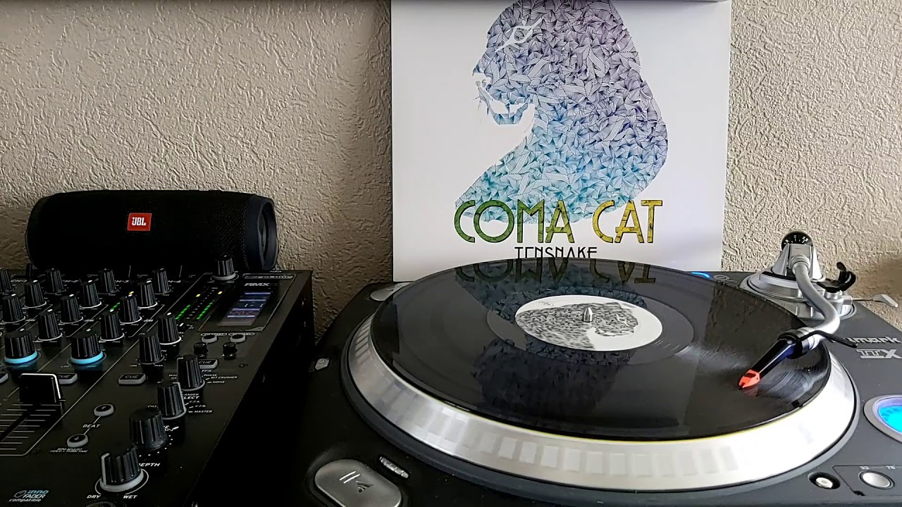Tensnake - Coma Cat - YouTube