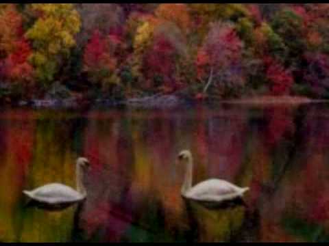 What is a wayshower? - YouTube