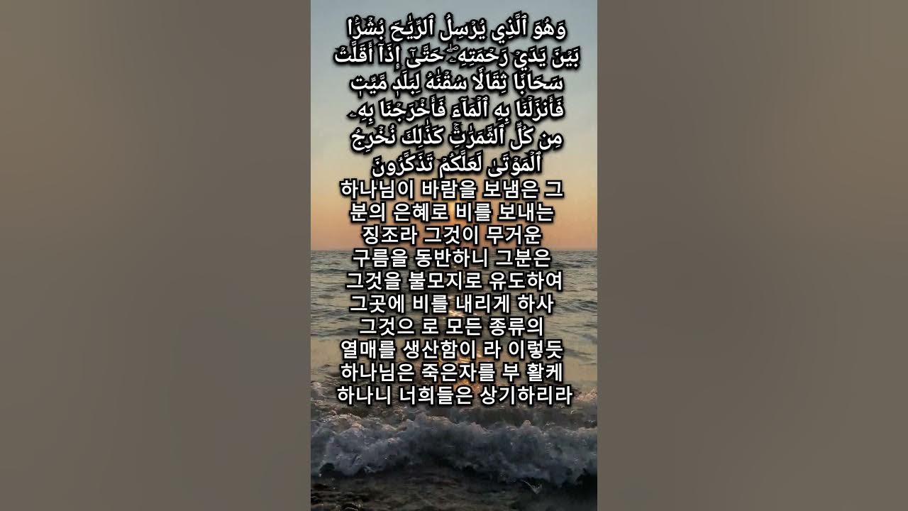 수라 알아라프 7:56,57 한국어 번역 꾸란 . Surah Al-Aʿrāf 7:56,57 Korean translation Qur'an #shotsfeed #shorts ...