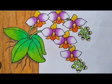 pembelajaran untuk anak paud/tk tema tanaman subtema bunga anggrek ...