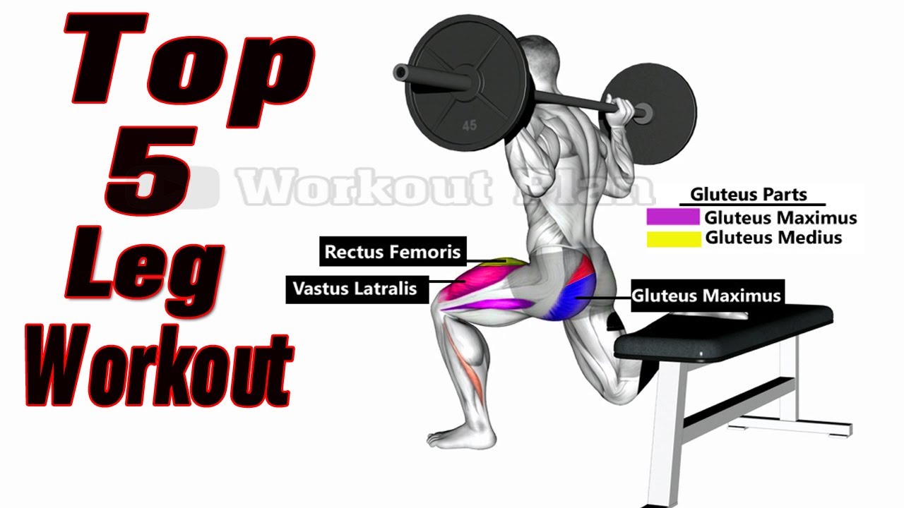 THE PERFECT LEG EXERCISES [5 WORKOUT ] - YouTube