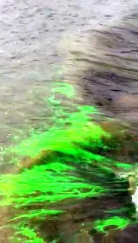 Truckee River Fluorescein Dye Experiment - YouTube