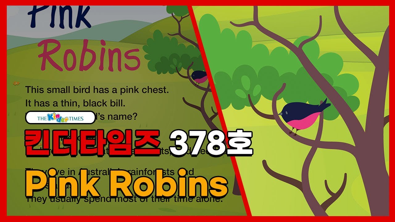 [ 킨더타임즈 The Kinder Times 378호 Wonderful Animals ] Pink Robins - YouTube