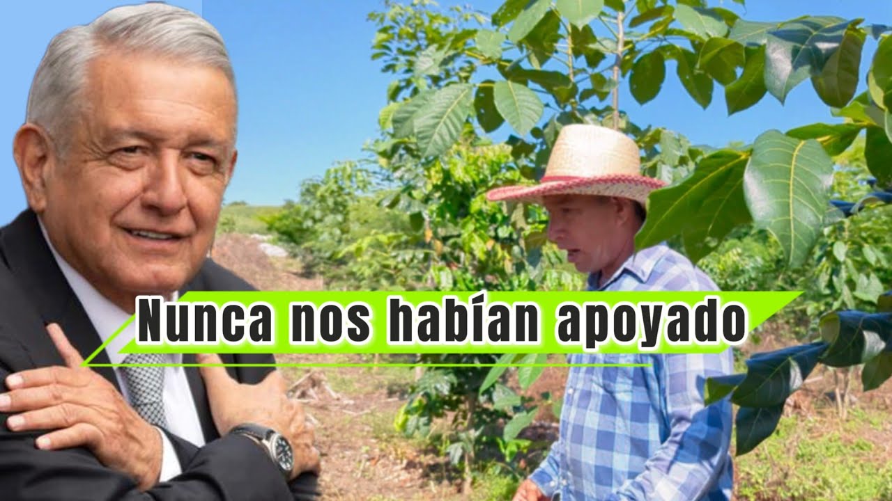 Sembrando Vida Guerrero - YouTube