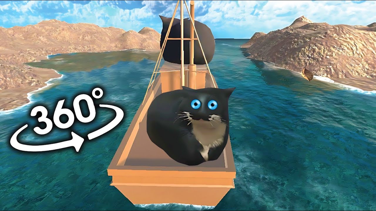 Maxwell The Cat 360° - In Ocean but it's 360 degree video - YouTube