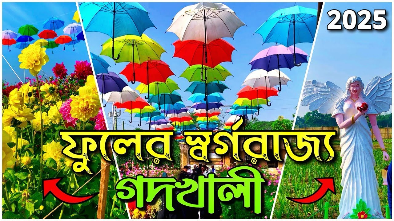 গদখালী | ফুলের রাজধানী গদখালী 2024 ll Godkhali Biggest Flower Garden ...