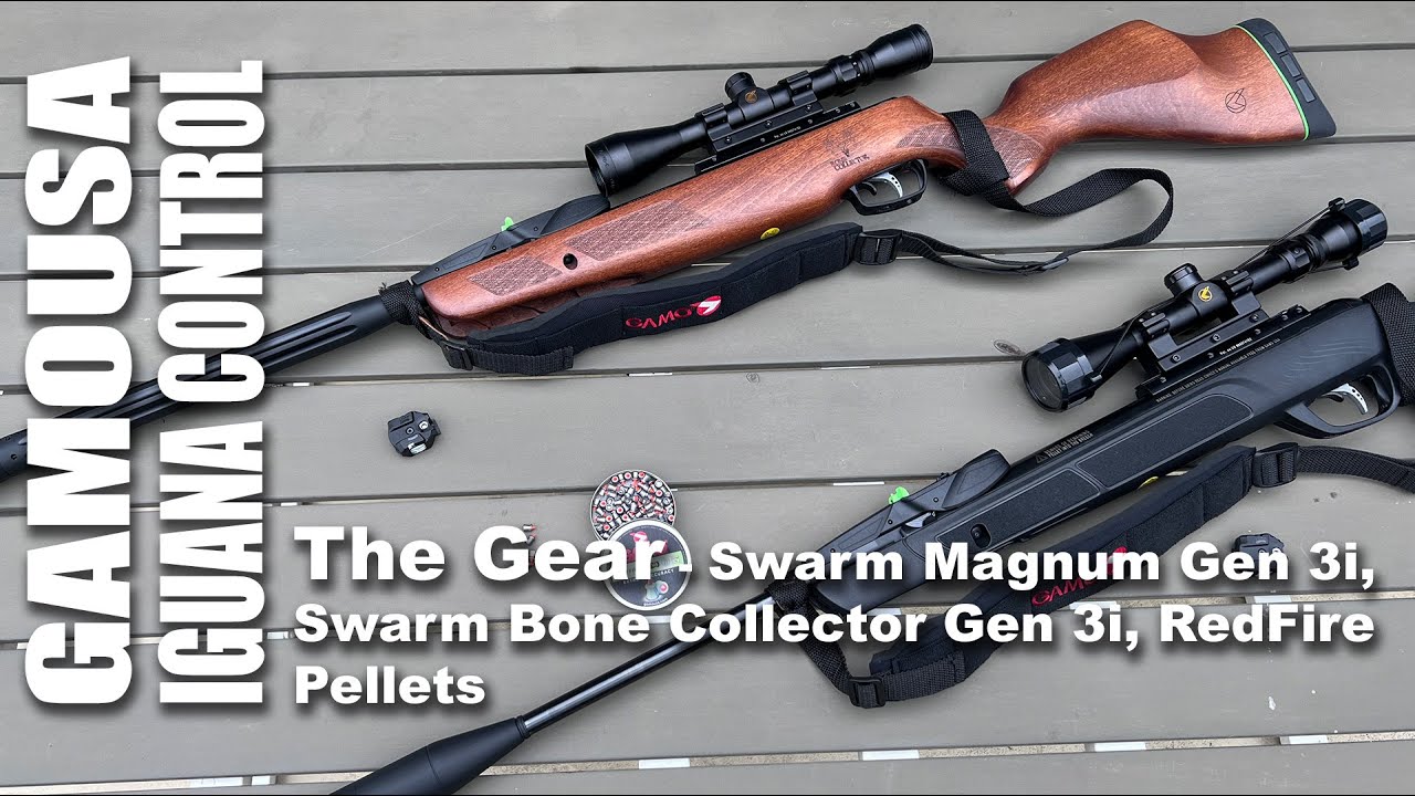 Gamo Iguana Control! The Gear - Swarm Magnum Gen 3i, Swarm Bone ...