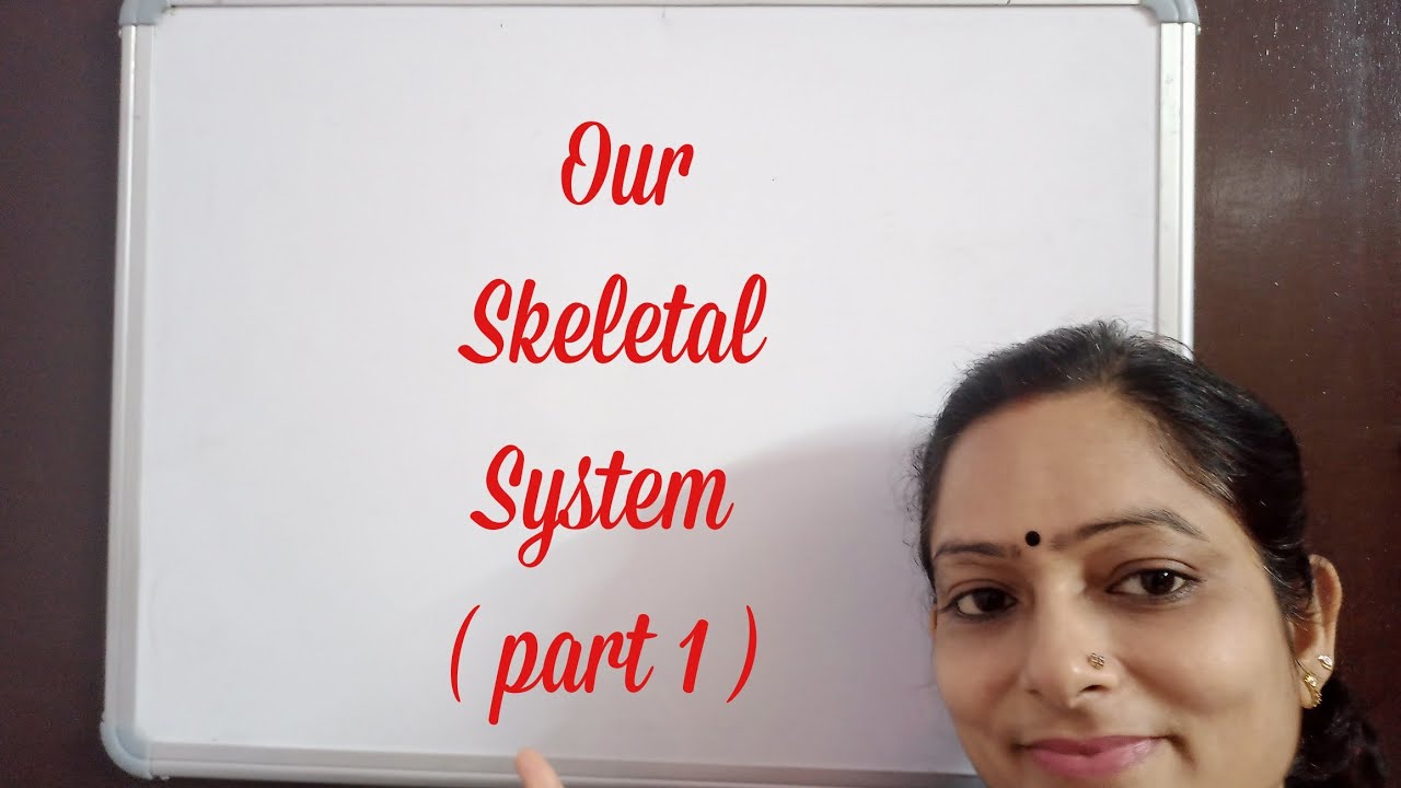 Our Skeletal System | Part 1 | Science | Class 5 - YouTube