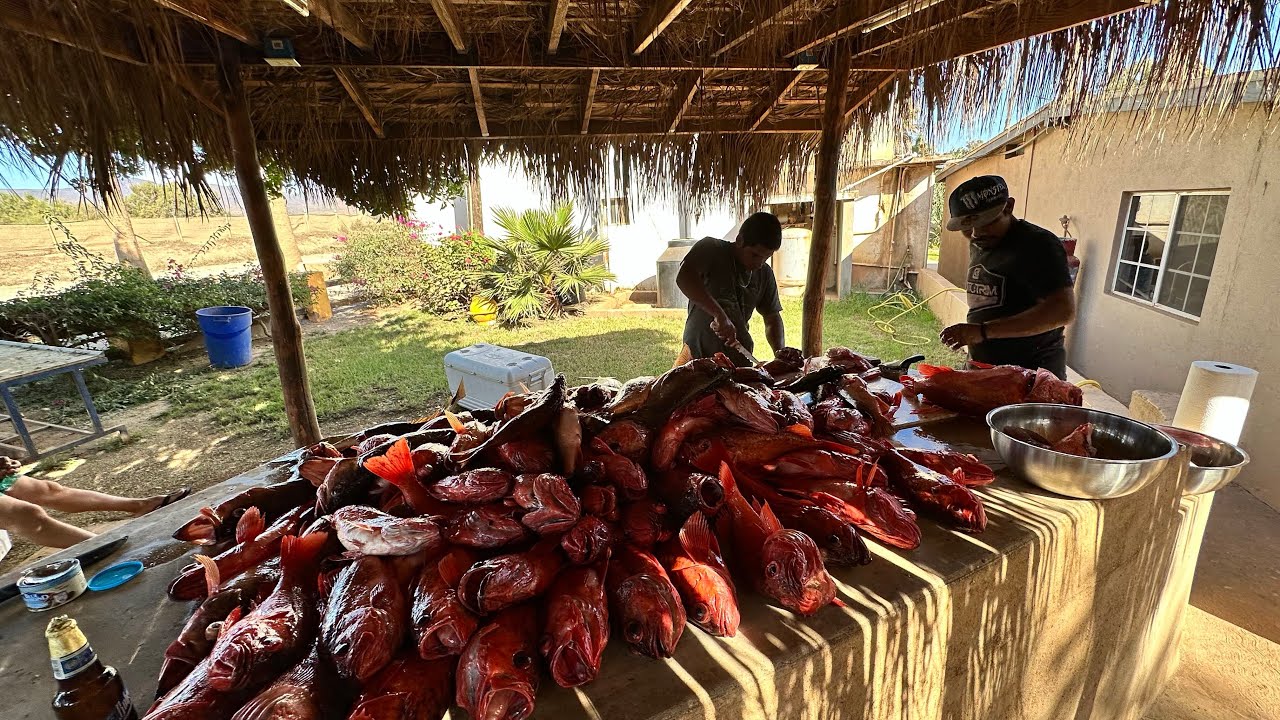 Fishing trip in Baja California - YouTube