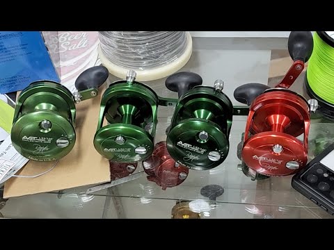 Making Shark Leaders 6ft 5ft 4ft Winner Claims Prize Upgrade ready for ...