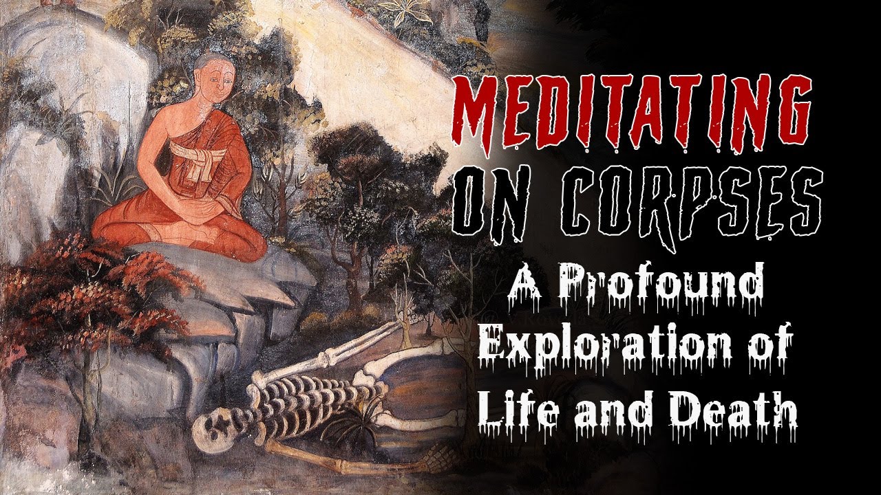 Meditating on Corpses – A Profound Exploration of Life and Death ...