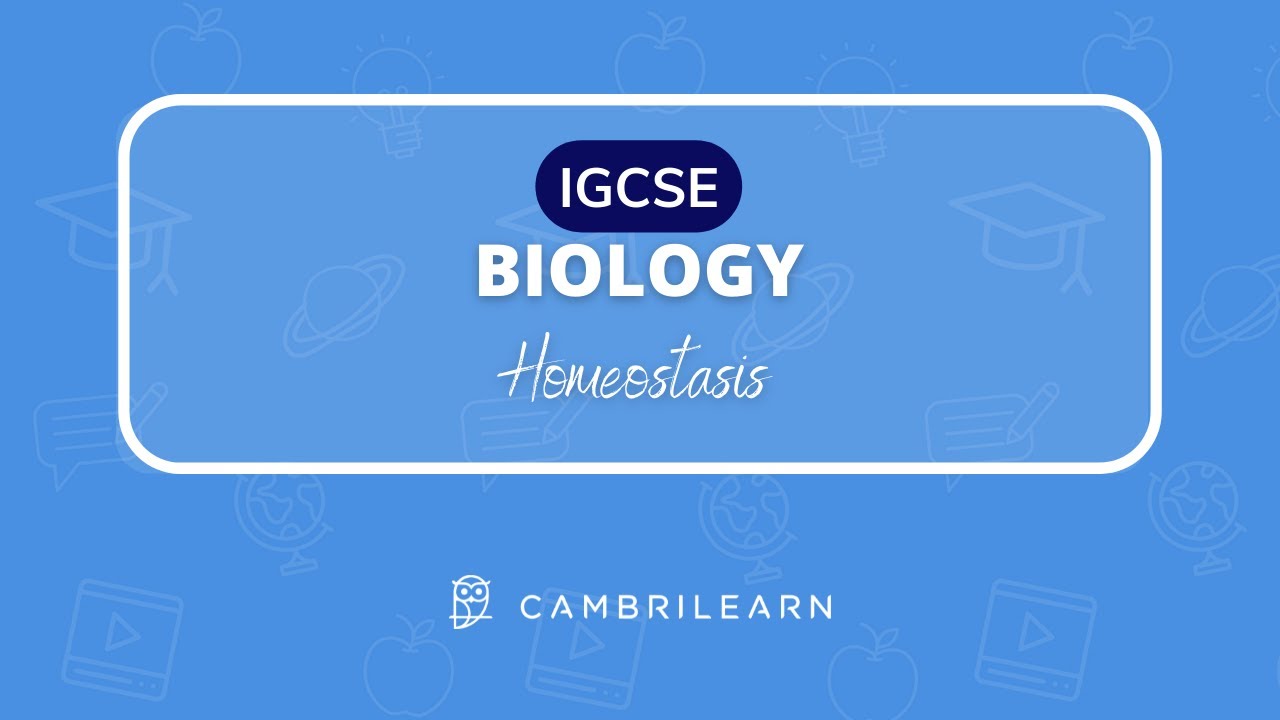 Homeostasis Explained - IGCSE Biology - YouTube