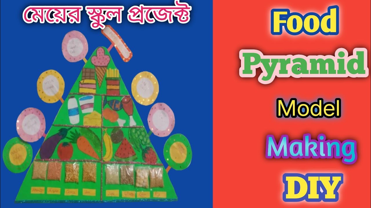 ফুড পিরামিড কেমন করে তৈরি করলাম। food pyramid model making । food ...