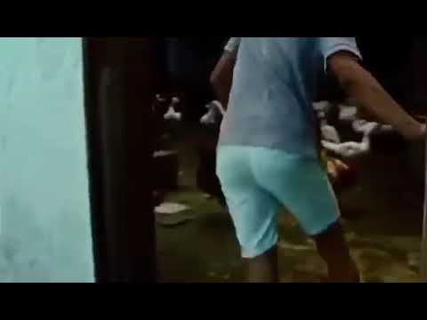 Luis Fohsi-Despacito ft Daddy Yankee