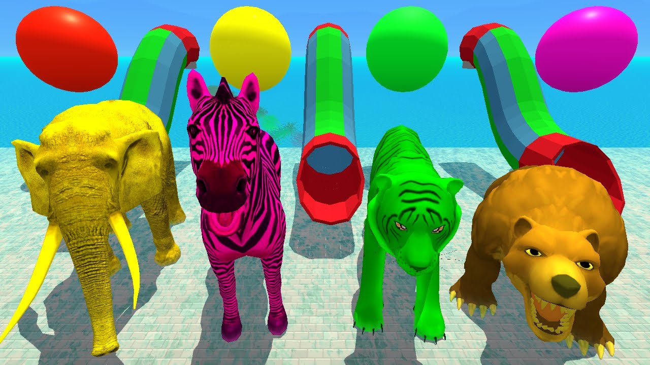 Forest River Race Wild Animals Game | Forest River and Slide Wilds ...
