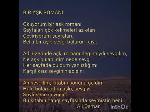 AŞK ROMANI