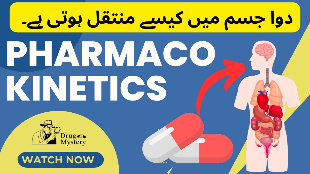 How medicine move through the body || Pharmacokinetics in urdu - YouTube
