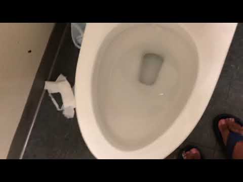 393: CVS Pharmacy Restroom with an A.S. Cadet 3 One-Piece Toilet - YouTube