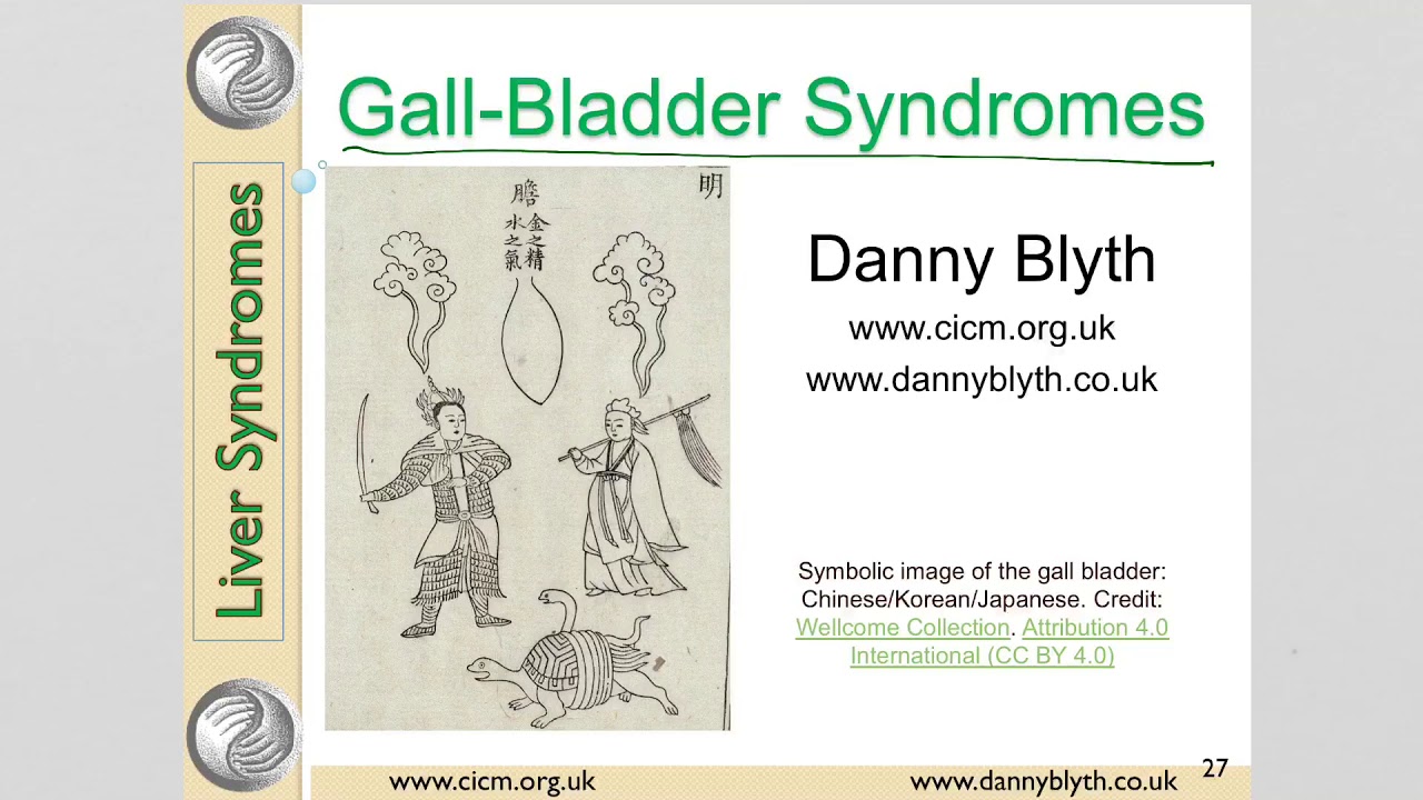 Gallbladder Syndromes in Traditional Chinese Medicine - YouTube