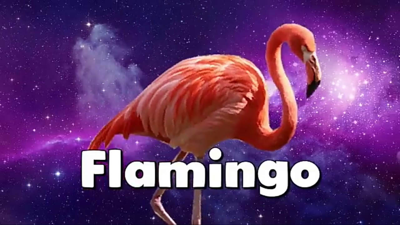 Whom is flamingo plus troll at end - YouTube